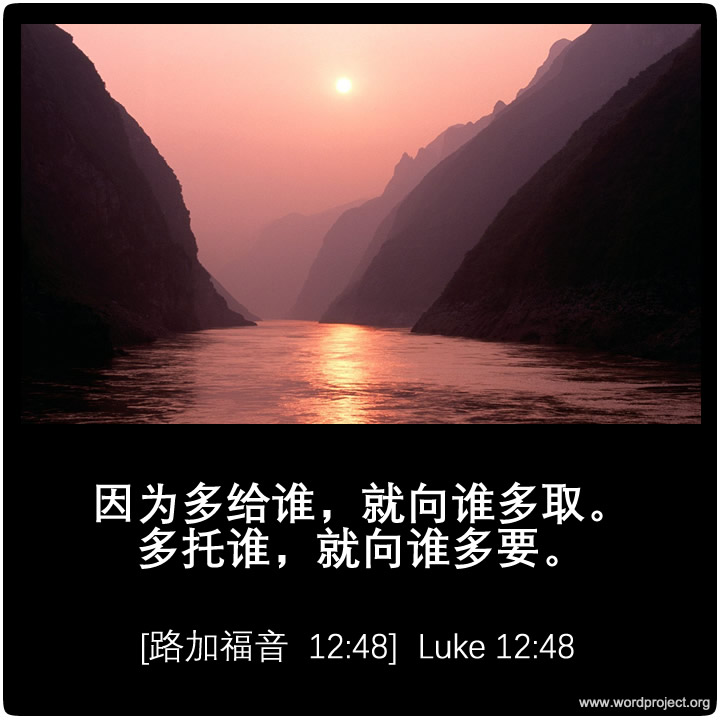 横幅 - 圣经经文 - Banners - Bible verses